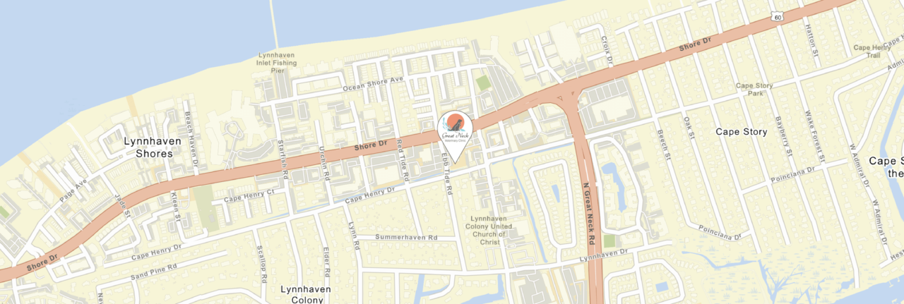 Contact | Great Neck Veterinary Clinic