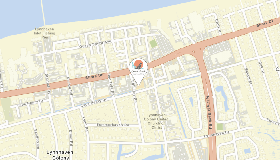 Appointments | Great Neck Veterinary Clinic