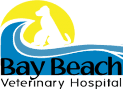 Appointments | Great Neck Veterinary Clinic