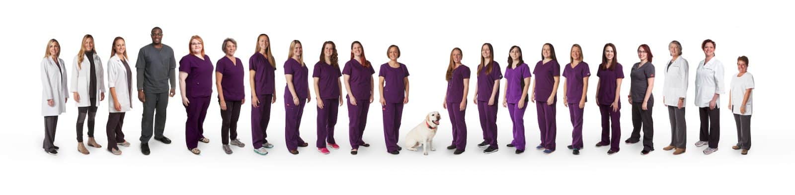 About | Great Neck Veterinary Clinic