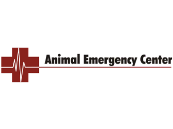 Services | Great Neck Veterinary Clinic