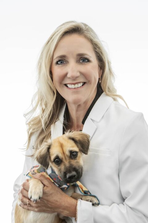 About | Great Neck Veterinary Clinic